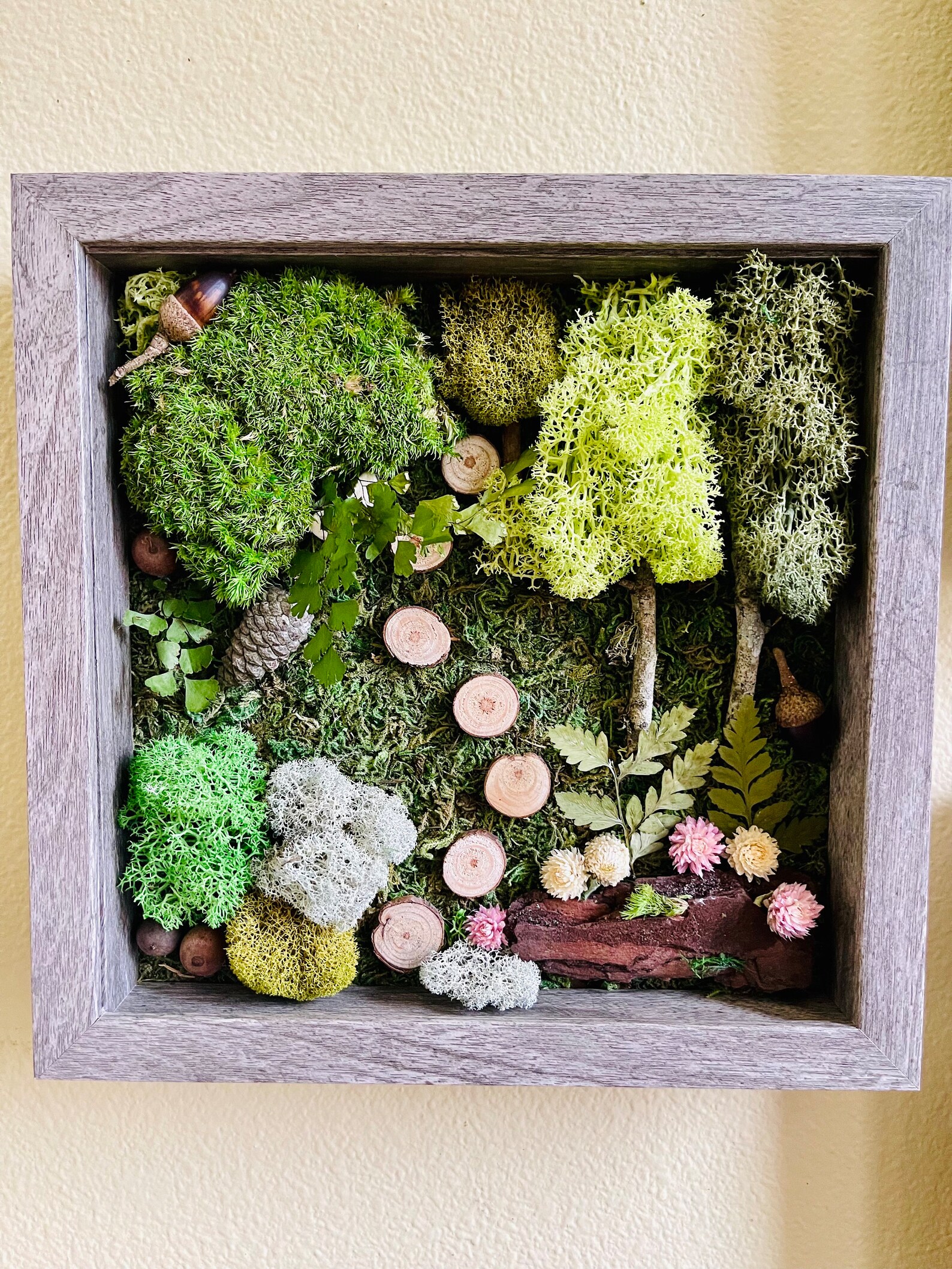 Moss Art Shadow Boxes Set of 3 - Etsy