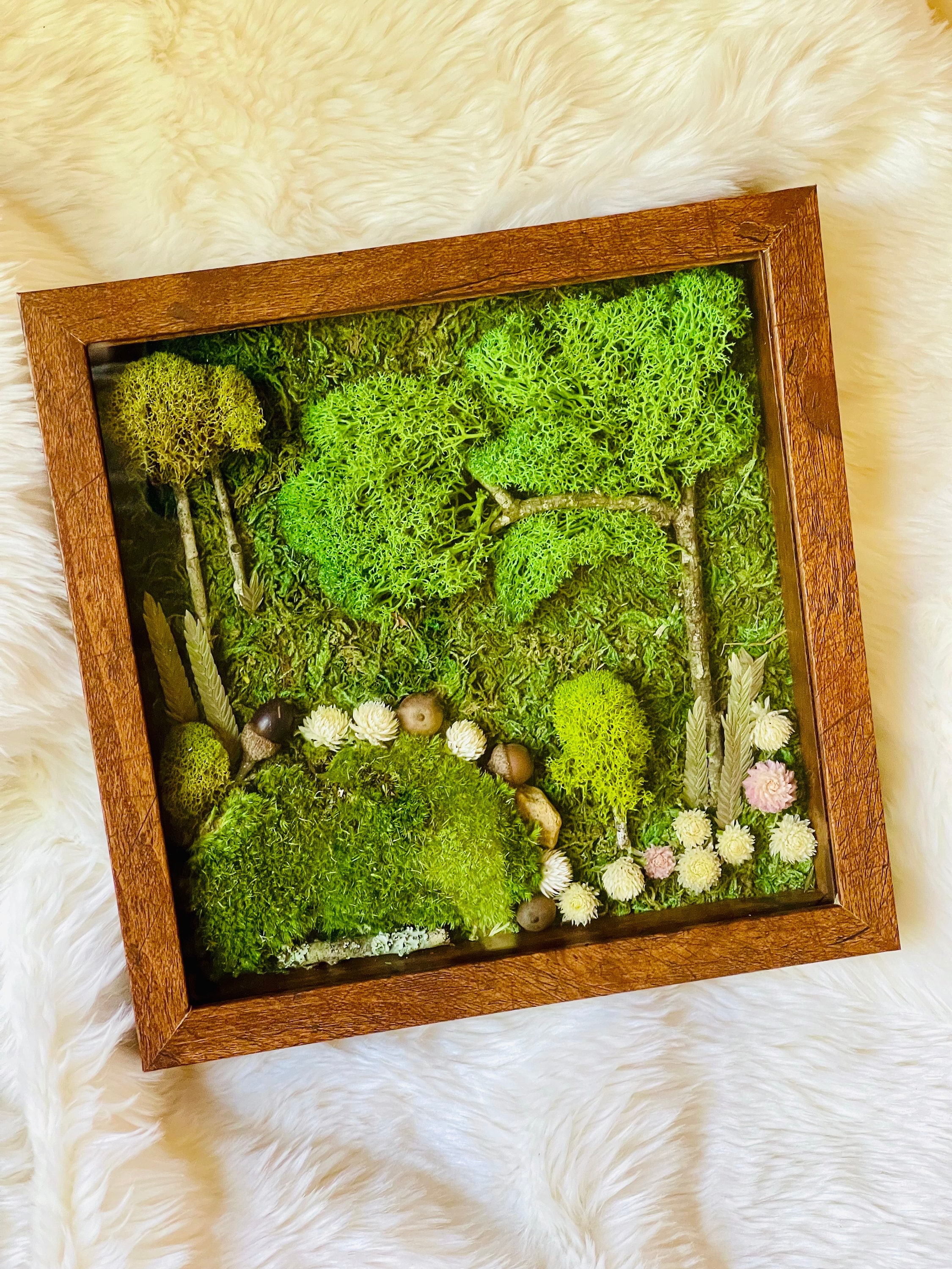 Moss Art Shadow Box - Etsy