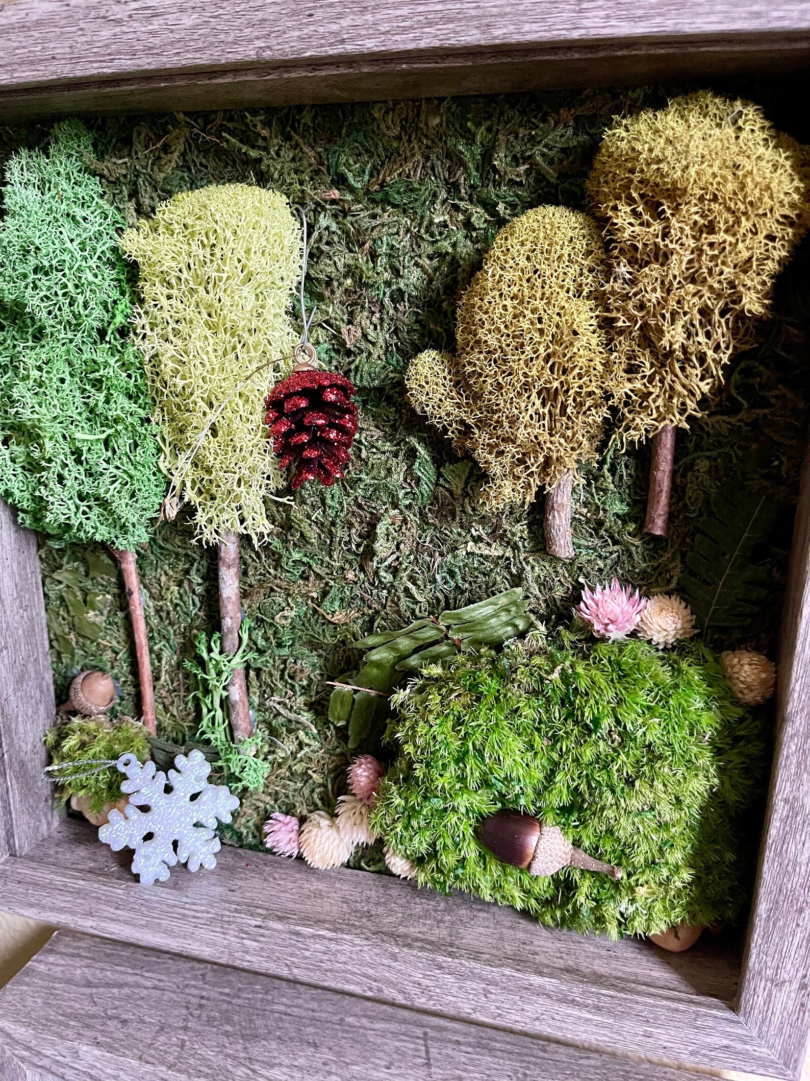 Moss Art Shadow Boxes Set of 3 - Etsy