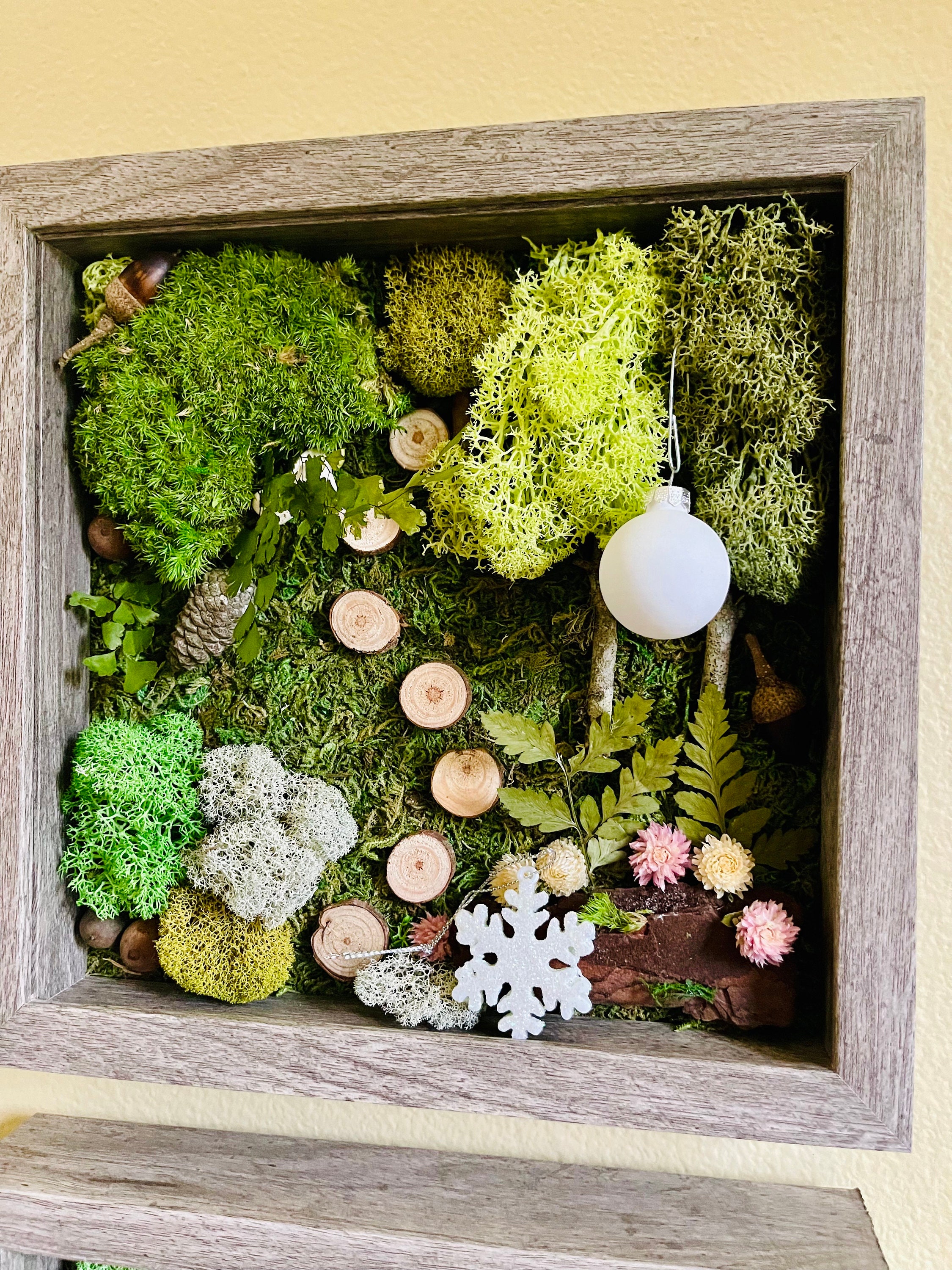 Moss Art Shadow Boxes Set of 3 - Etsy