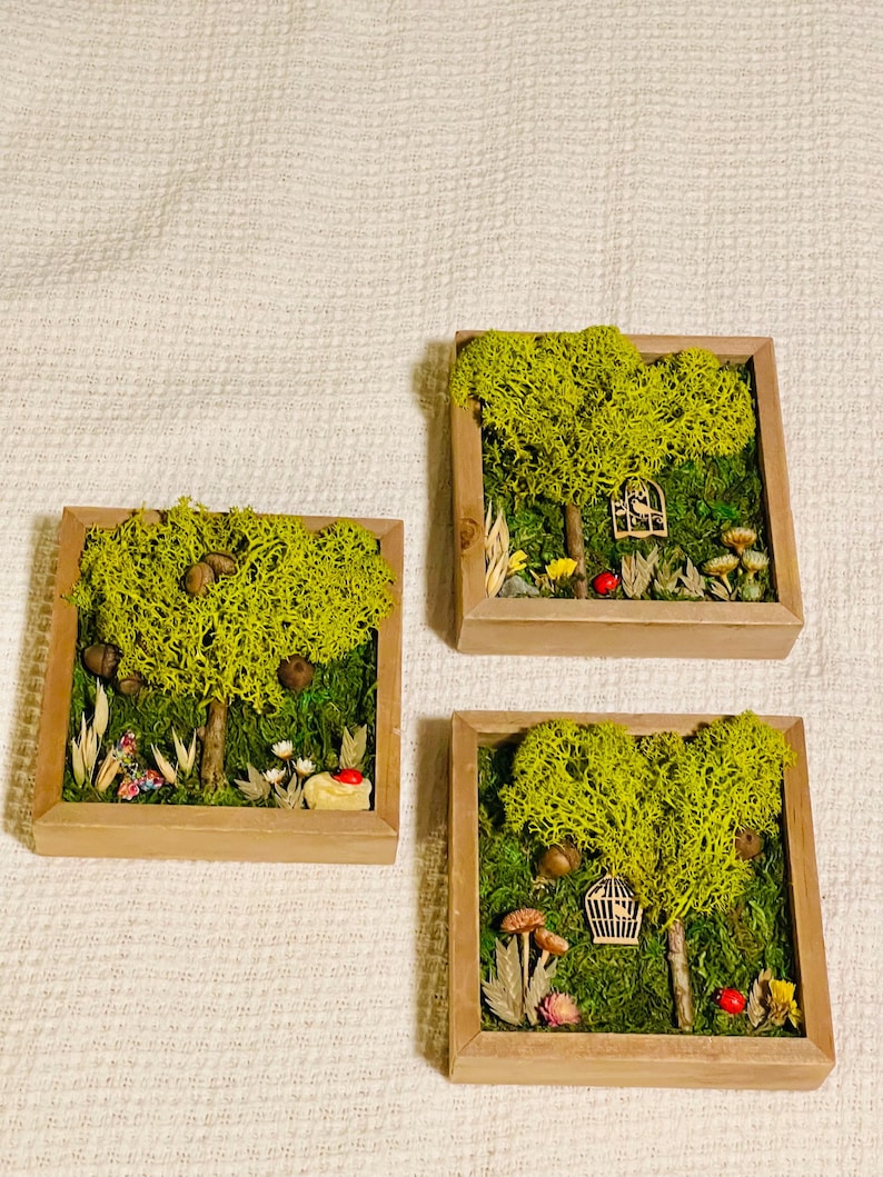 Moss Art Mini Frame - Etsy