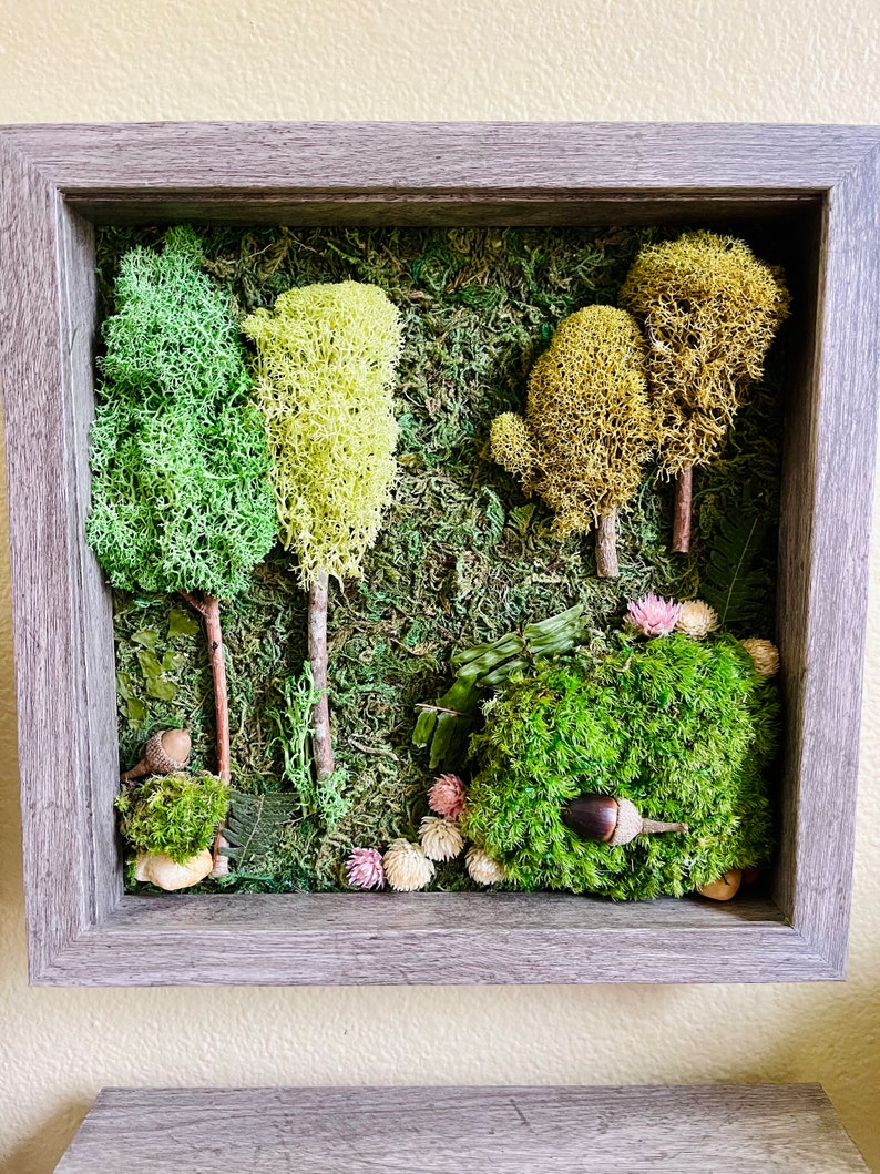 Moss Art Shadow Boxes Set of 3 - Etsy