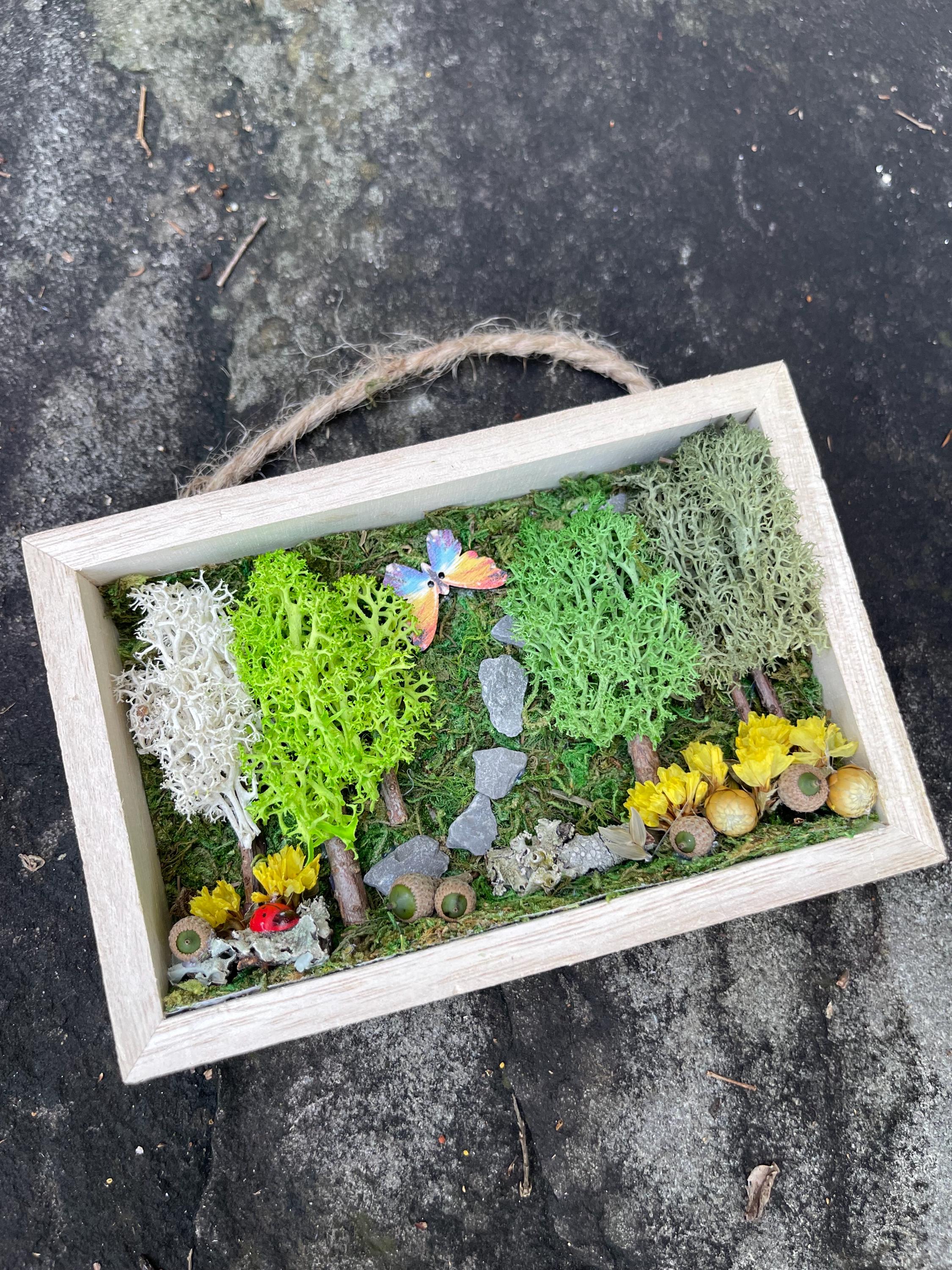 Moss Art Mini Frame - Etsy