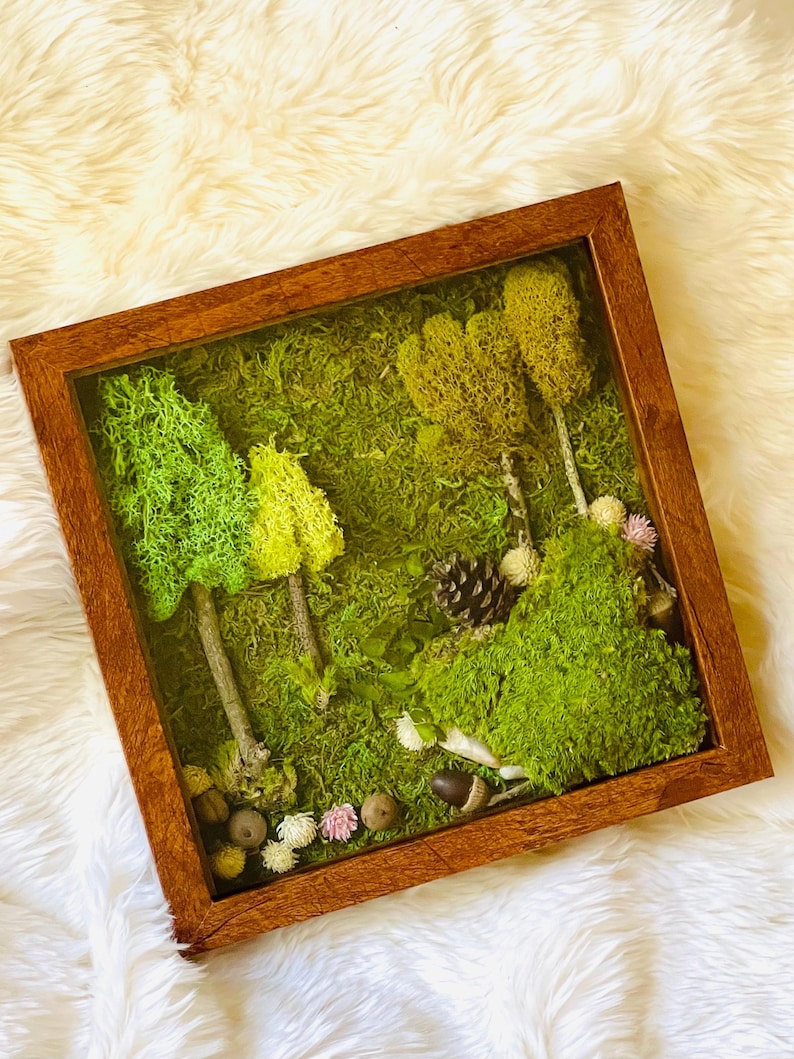 Moss Art Shadow Box - Etsy