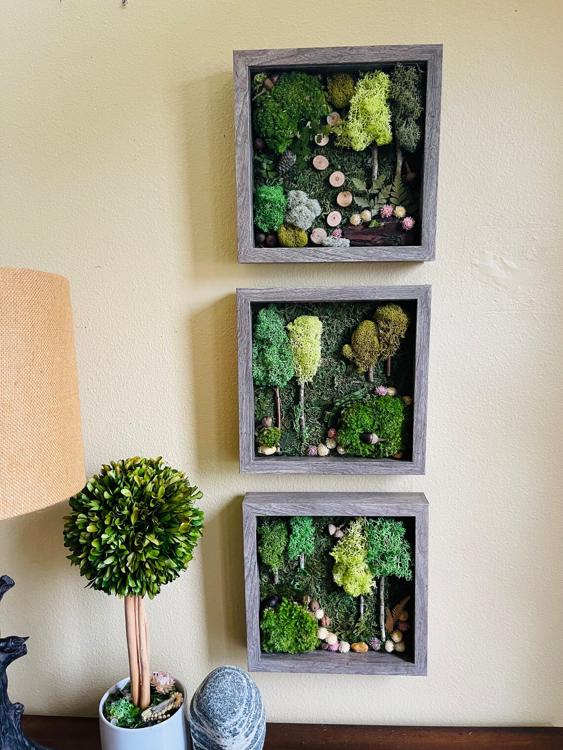 Moss Art Shadow Boxes Set of 3 - Etsy