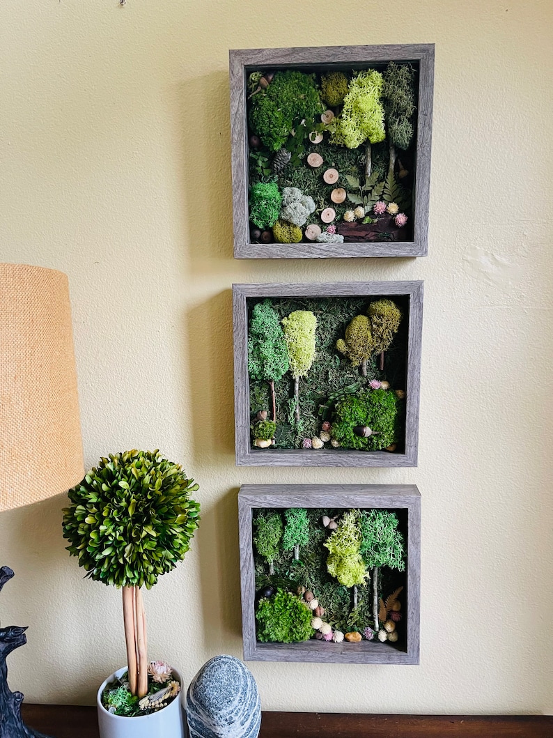 Moss Art Shadow Boxes Set of 3 - Etsy