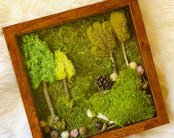 Moss Art Shadow Box - Etsy
