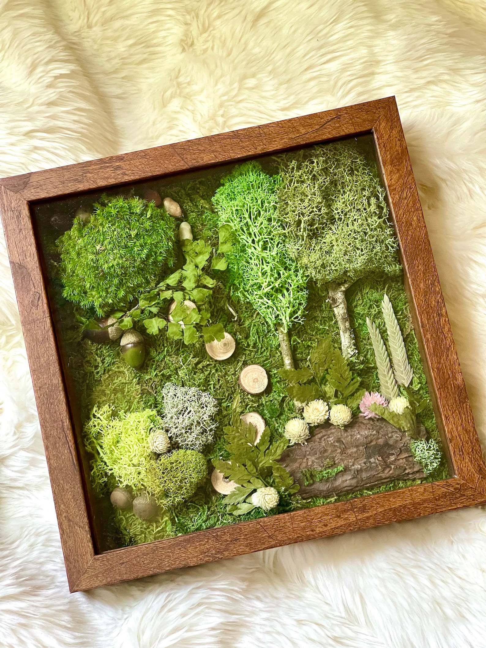 Moss Art Shadow Box - Etsy