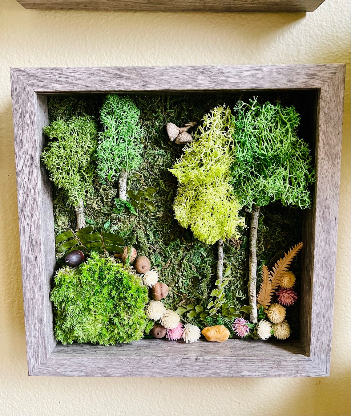 Moss Art Shadow Boxes Set of 3 - Etsy
