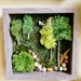 Moss Art Shadow Boxes Set of 3 - Etsy
