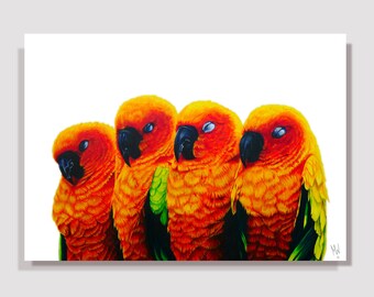 Sun Conure Painting - Etsy