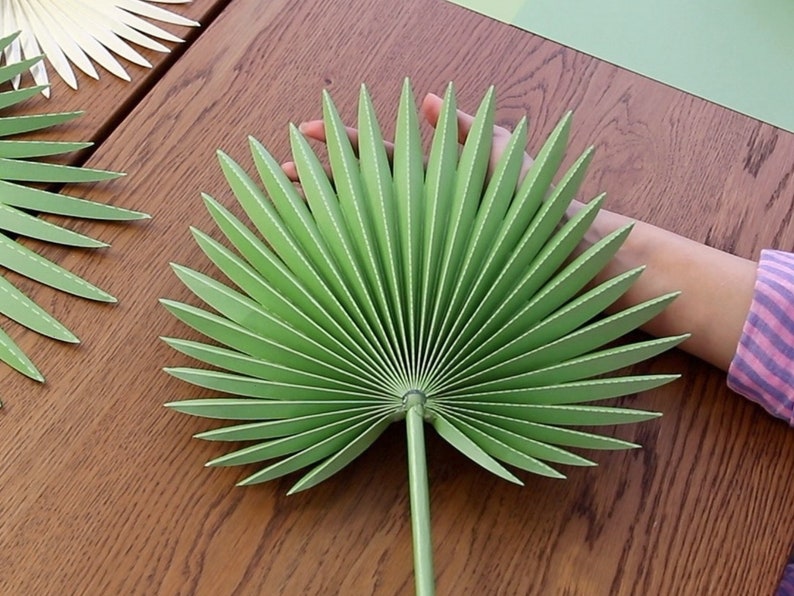 Fan Palm Leaf SVG PDF, Dxf, Extremely Realistic Palm Leaf Template and ...