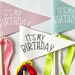 It’s My Birthday Pennant Flag, DIY Pennant, Birthday Banner, Printable ...