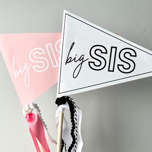 Big Sis Pennant Flag, Pregnancy Announcement, DIY Pennant, Baby Banner ...