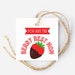 You Are the BERRY Best Gift Tag, Happy Mothers Day Gift Tag, Square Tag ...