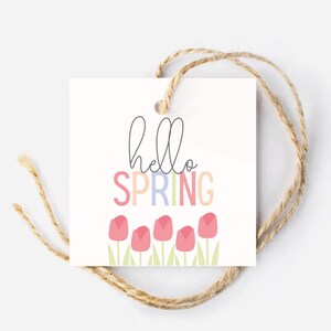 Hello Spring Gift Tag, Square Hang Tags, Seasonal Tags, Cookie Tag ...