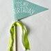 It’s My Birthday Pennant Flag, DIY Pennant, Birthday Banner, Printable ...