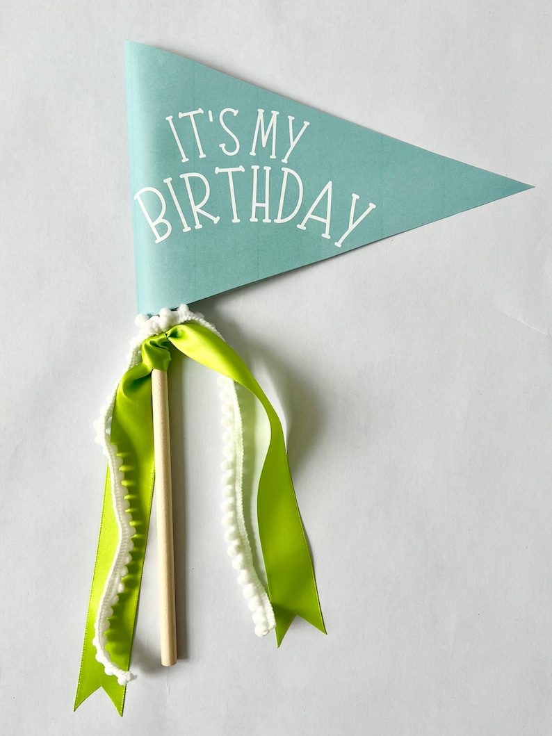 It’s My Birthday Pennant Flag, DIY Pennant, Birthday Banner, Printable ...