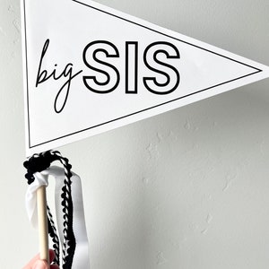Big Sis Pennant Flag, Pregnancy Announcement, DIY Pennant, Baby Banner ...
