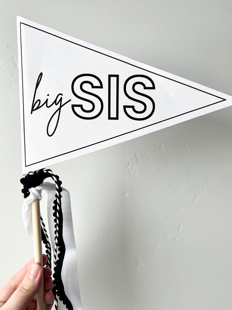Big Sis Pennant Flag, Pregnancy Announcement, DIY Pennant, Baby Banner ...