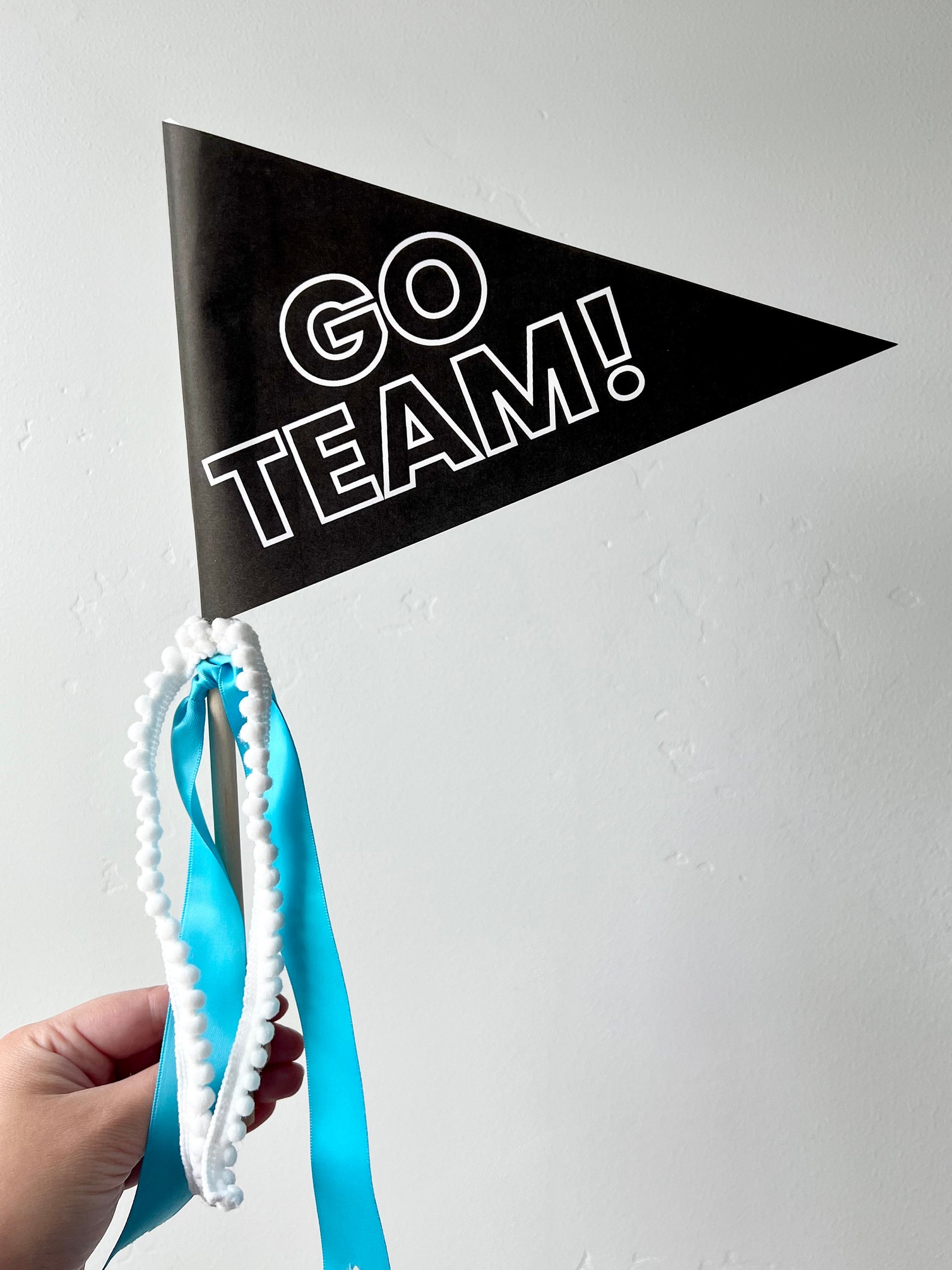Go Team Pennant Flag DIY Pennant Sports Banner Printable - Etsy