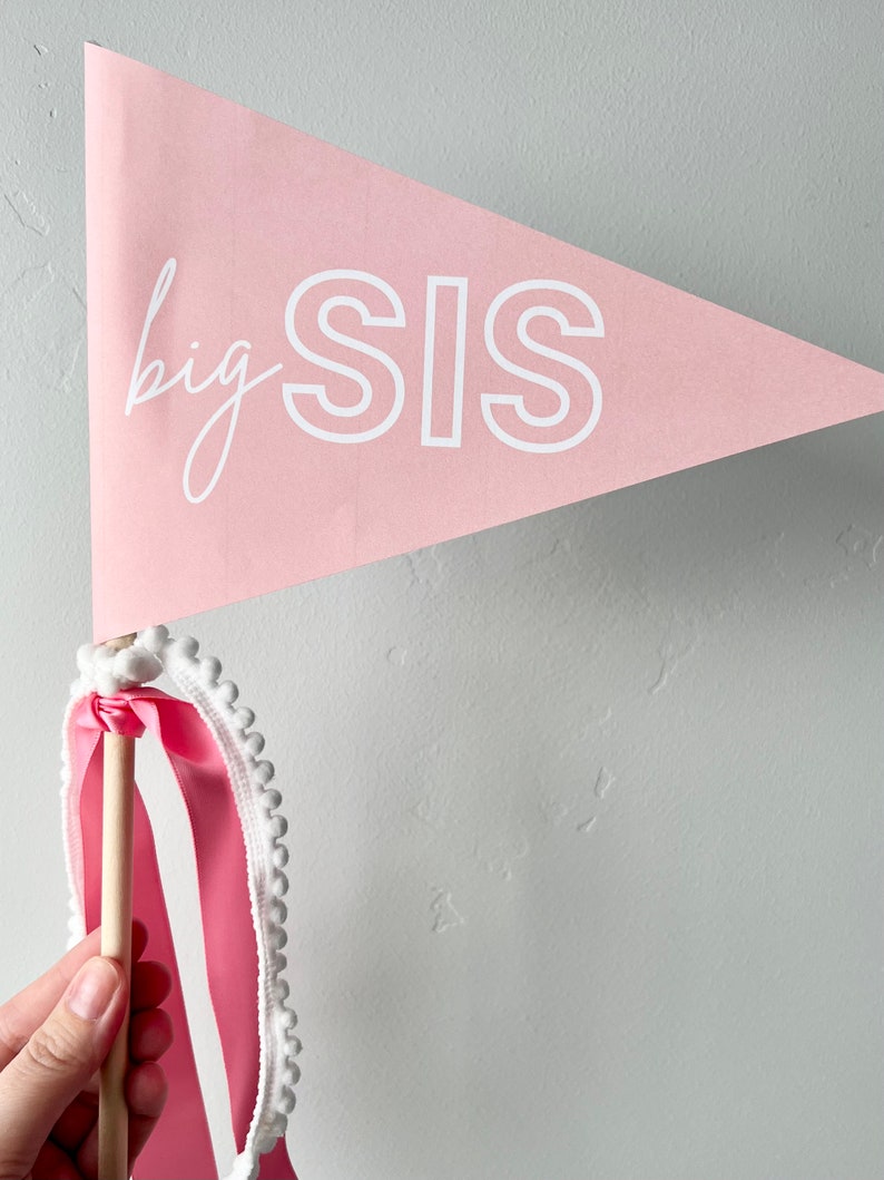 Big Sis Pennant Flag, Pregnancy Announcement, DIY Pennant, Baby Banner ...