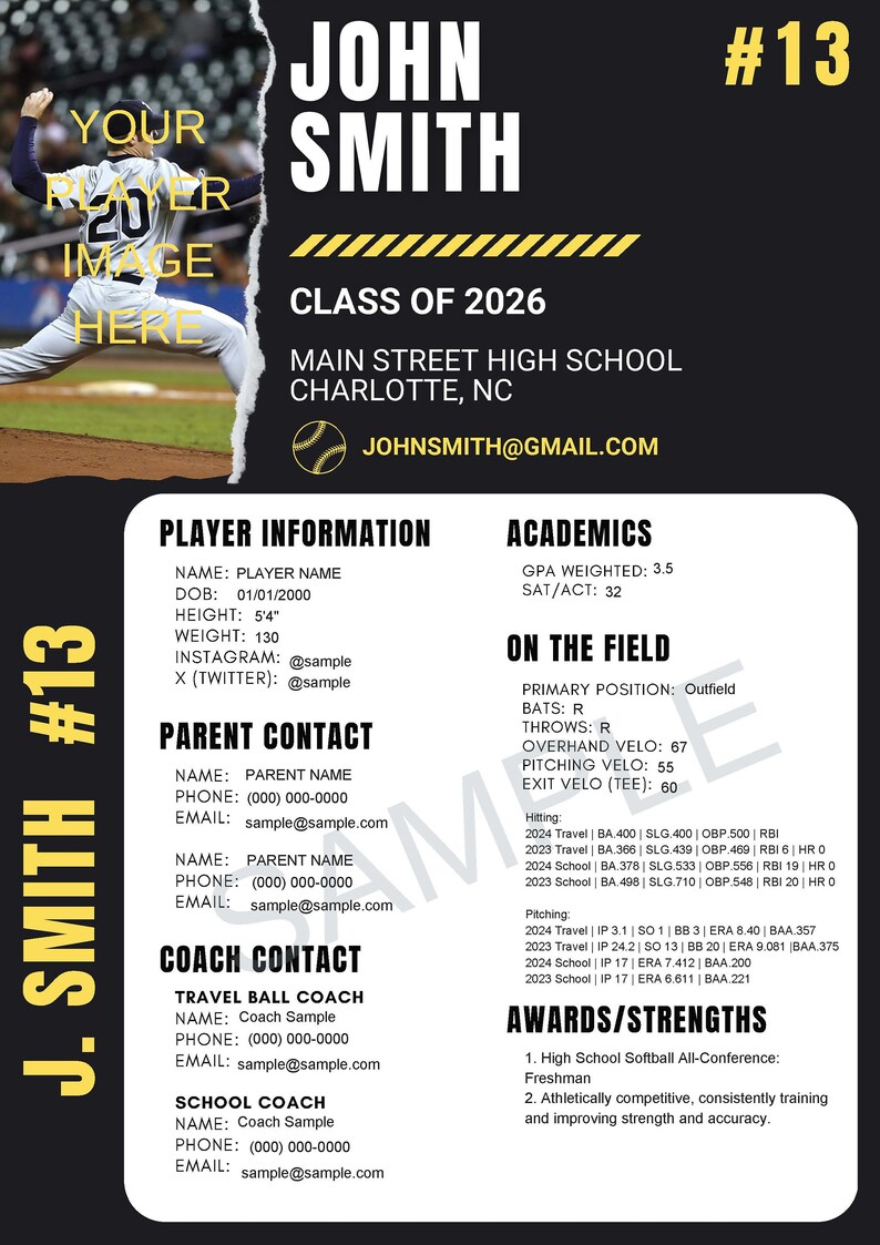 Baseball, Personalized Player Profile Template, Used for College ...