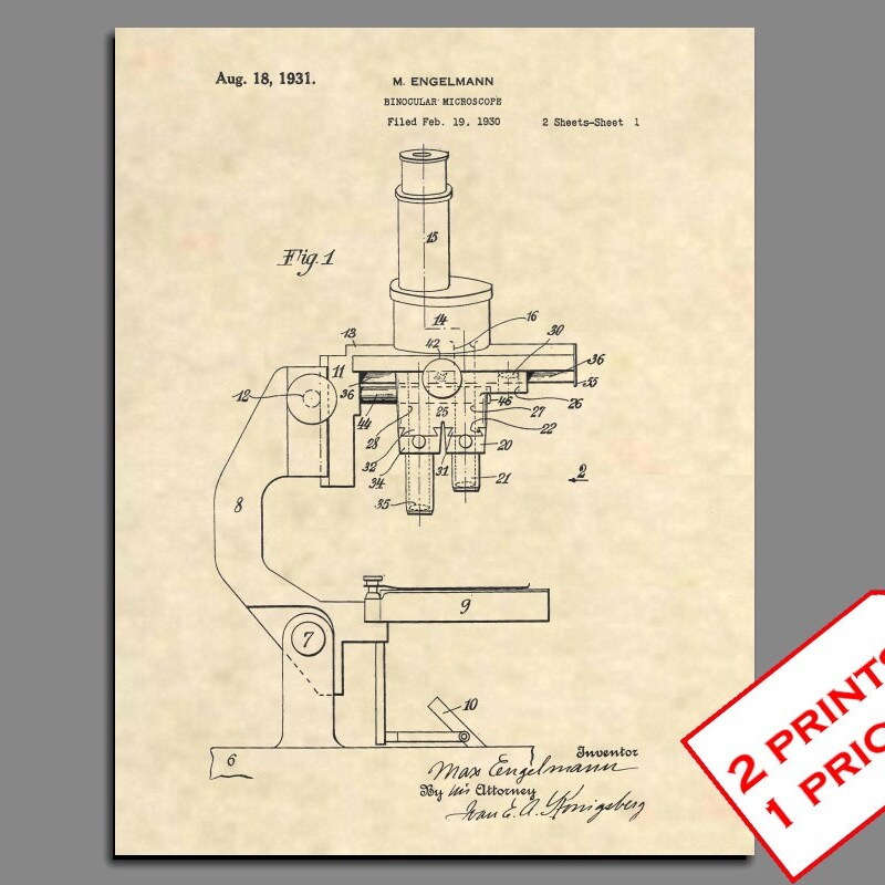 Microscope Art - Etsy