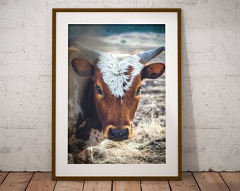 Cow Print, Cow Art, French Country Decor, Farmhouse Decor, Farmhouse ...
