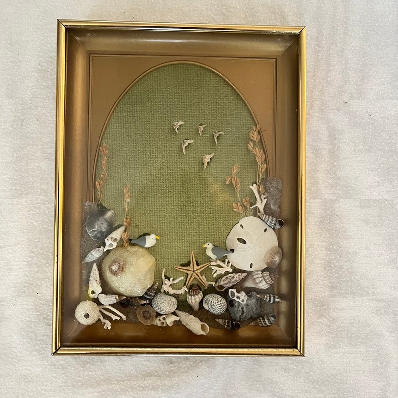 Framed Shell Art - Etsy