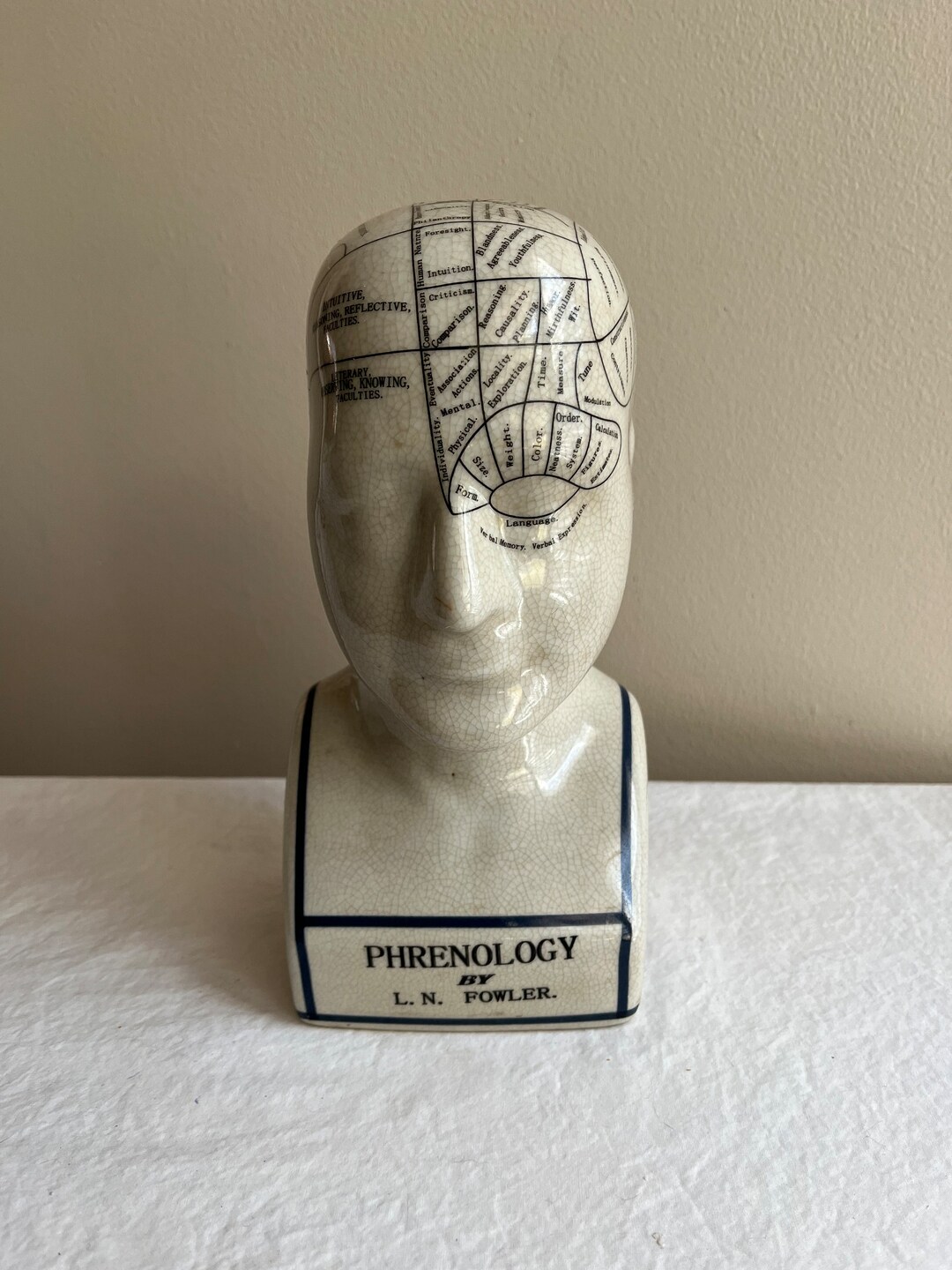 Vintage L.N. Fowler Phrenology Head Statue 9" Tall - Etsy
