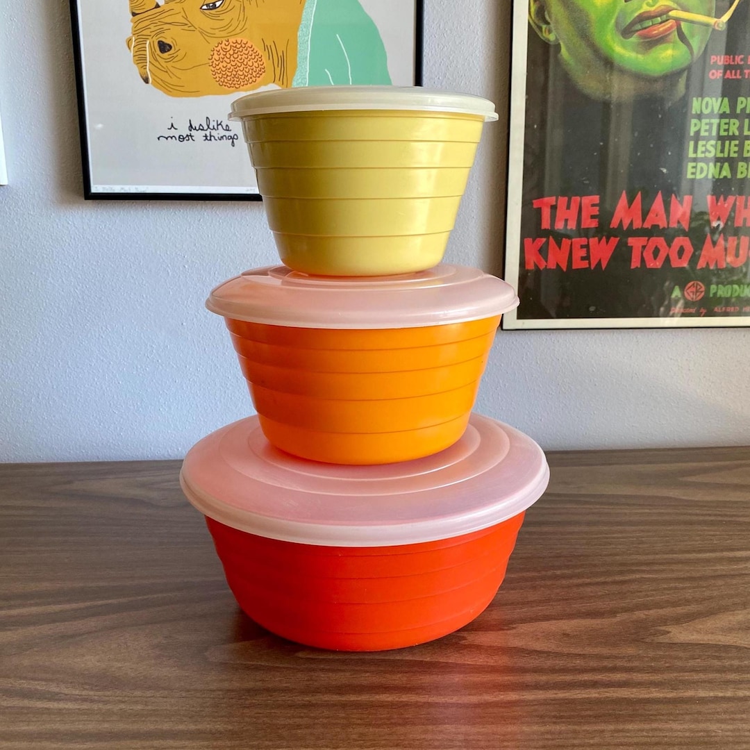 Vintage Stanley Flex Bowls With Lids - Etsy