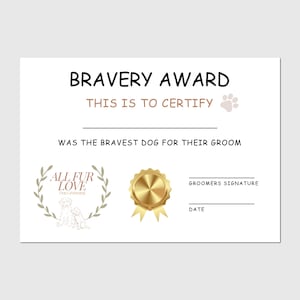 Bravery Award Certificate, Dog Groomer Certificate, Brave Dog ...