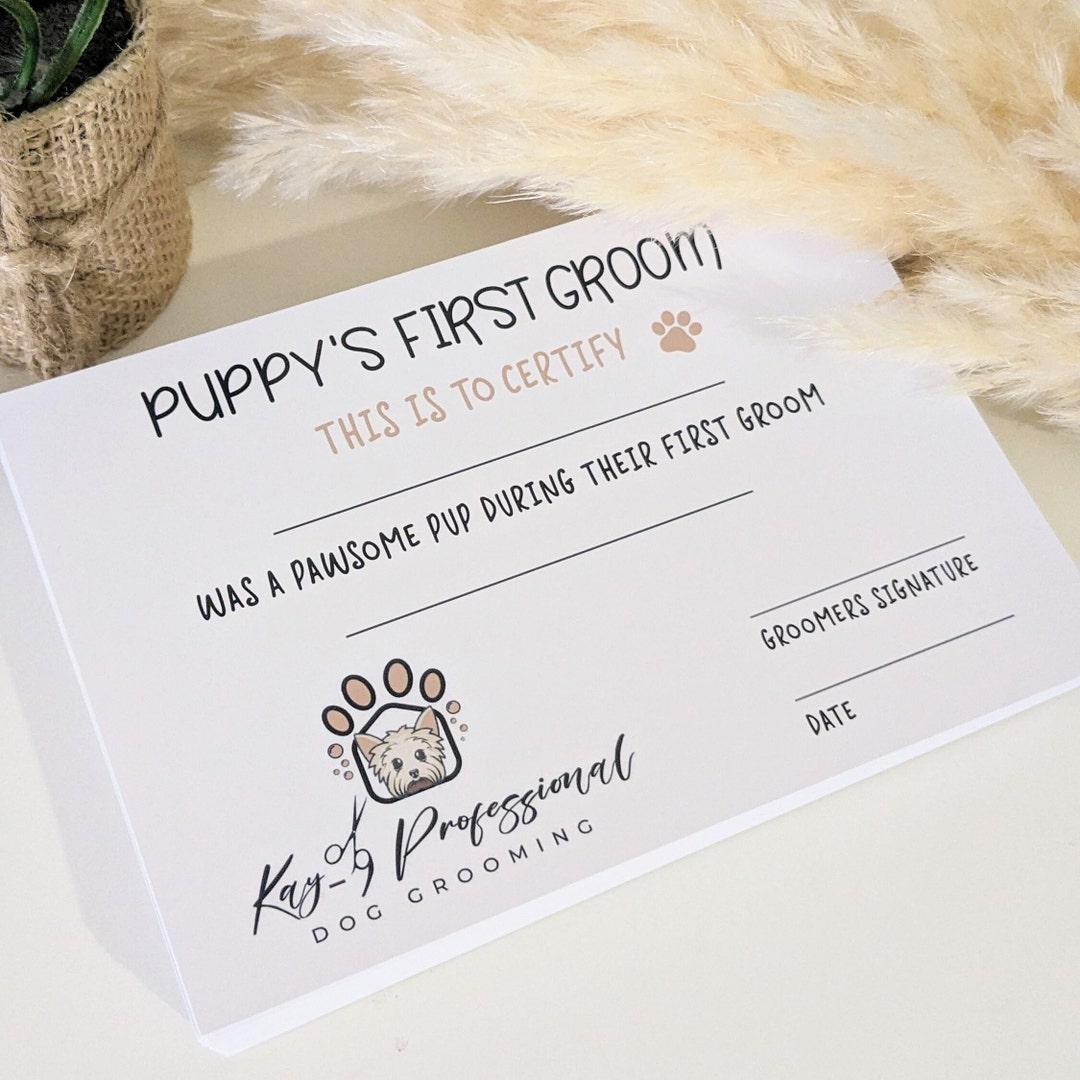 Puppy's First Groom Certificate, Dog Groomer Certificate, Groomers ...