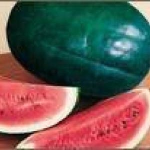 50 FLORIDA GIANT WATERMELON Cannon Ball Black Diamond Citrullus Fruit ...