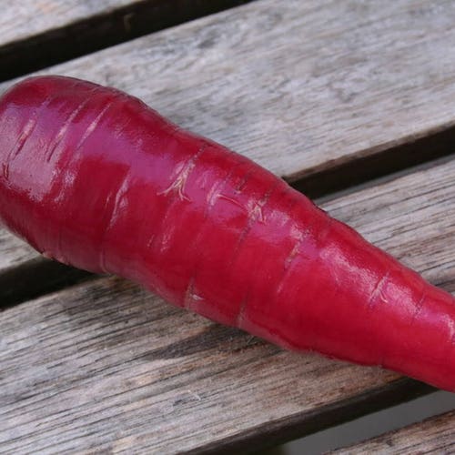 400 COSMIC PURPLE CARROT Daucus Carota Vegetable Seeds comb | Etsy