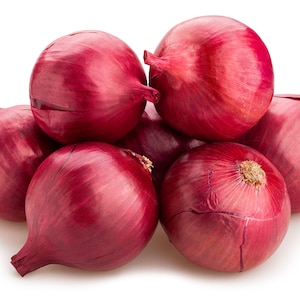 250 RED BURGUNDY ONION Allium Cepa Vegetable Seeds - Etsy