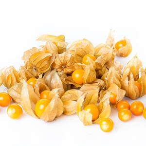 50 PERUVIAN GROUND CHERRY Physalis Peruviana Cape Gooseberry Fruit ...
