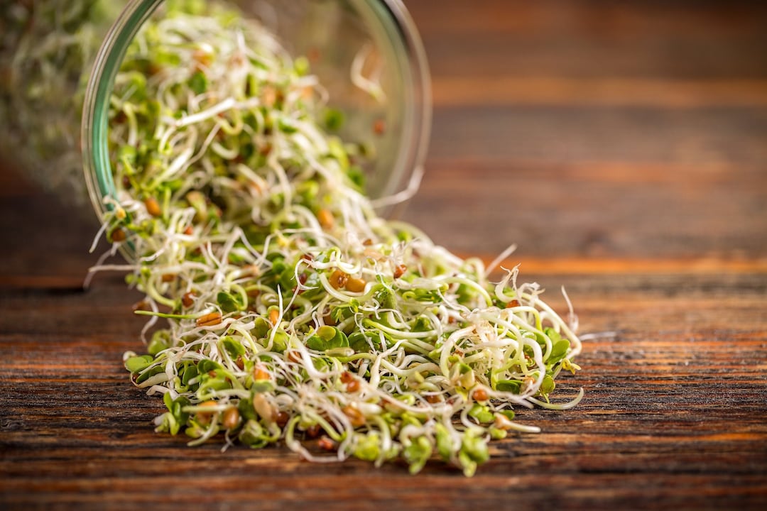 ORGANIC SPROUTING MIX - Peas, Mung and Adzuki Beans, Green, French ...