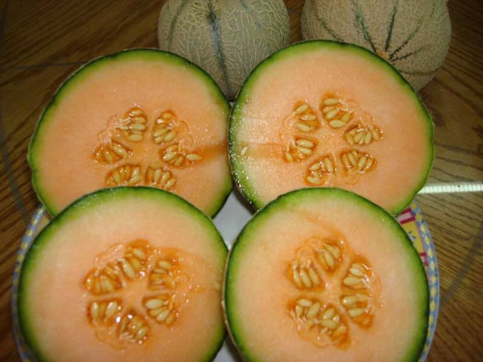 200 IROQUOIS CANTALOUPE Melon Fruit Cucumis Melo Seeds - Etsy