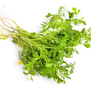 1000 Fine Curled PEPPERGRASS / PEPPERCRESS / WATERCRESS Lepidium ...