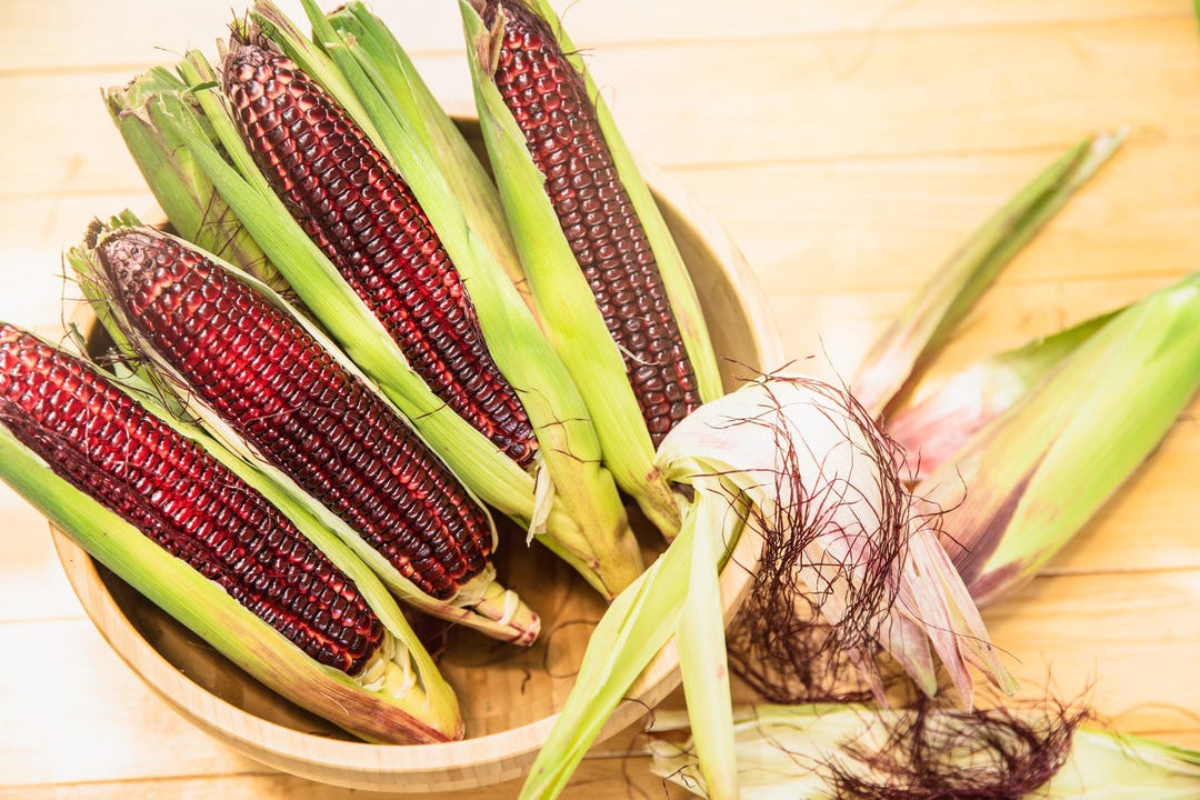 35 BLOODY BUTCHER Red CORN Edible & Ornamental Heirloom Zea Mays ...