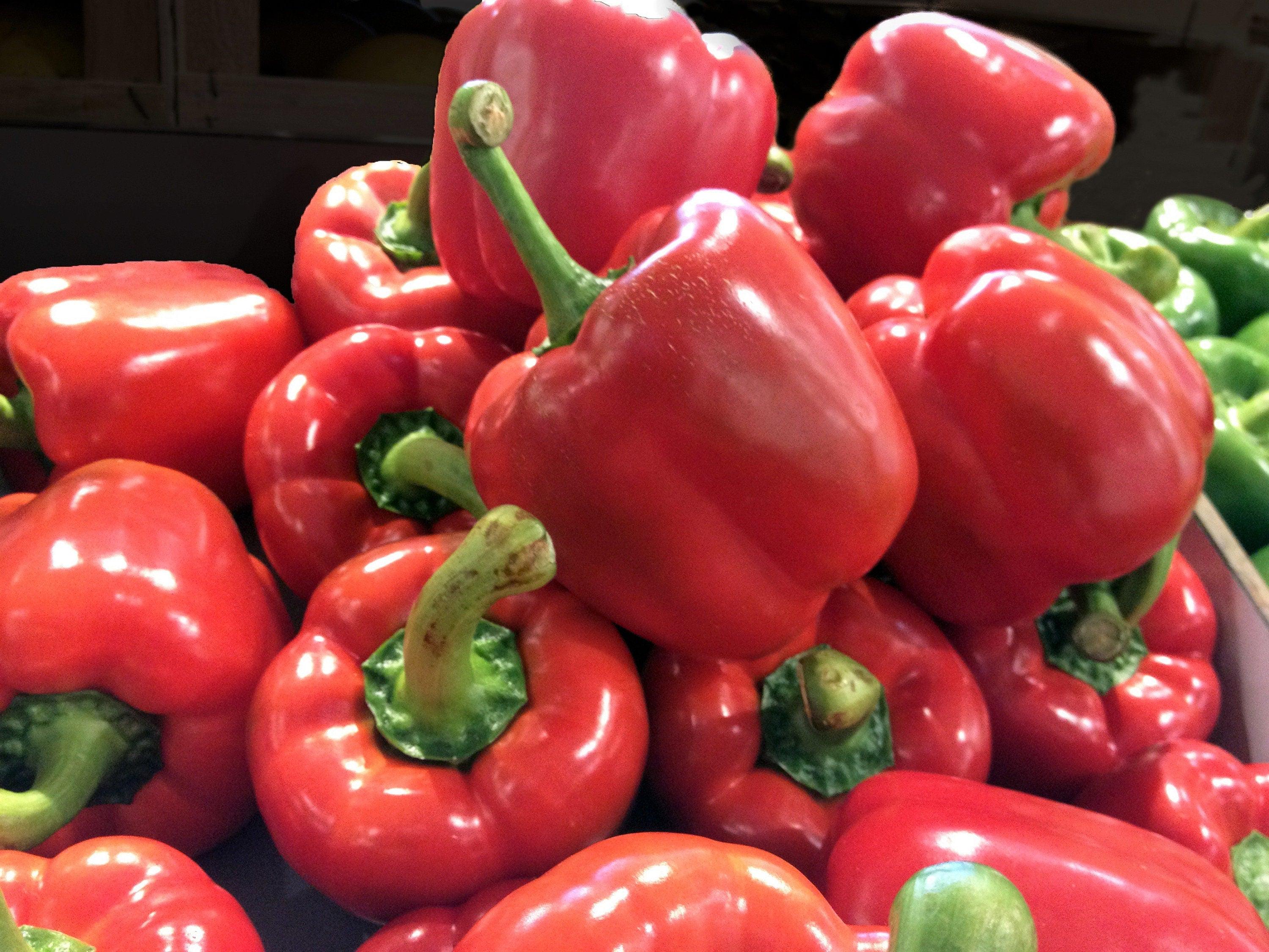 20 Organic Red MINI BELL PEPPER Sweet Mild Miniature Capsicum Annuum ...