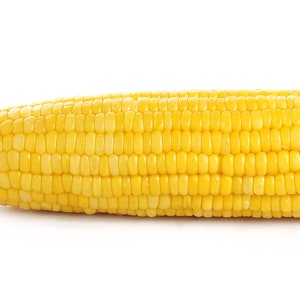 50 KANDY KORN CORN Sweet Yellow Corn Red Husk H.S.E. Zea Mays Vegetable ...