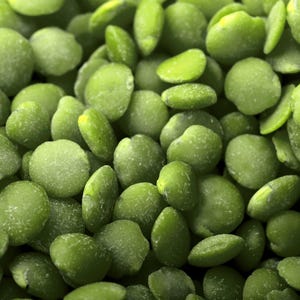 100 GREEN LENTIL Lentils Lens Culinaris Vegetable Seeds - Etsy
