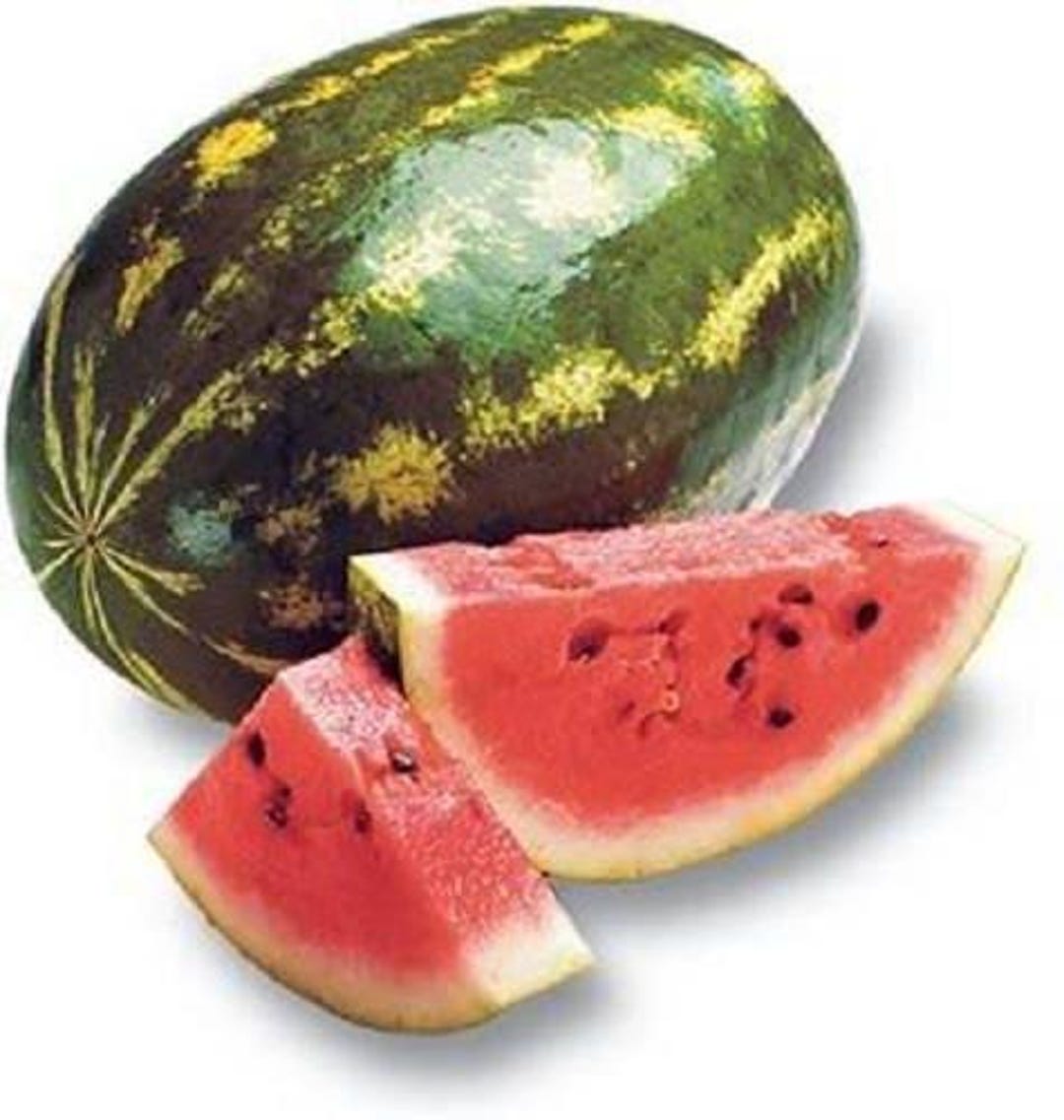 100 CRIMSON SWEET WATERMELON Citrullus Lanatus Fruit Melon Seeds - Etsy