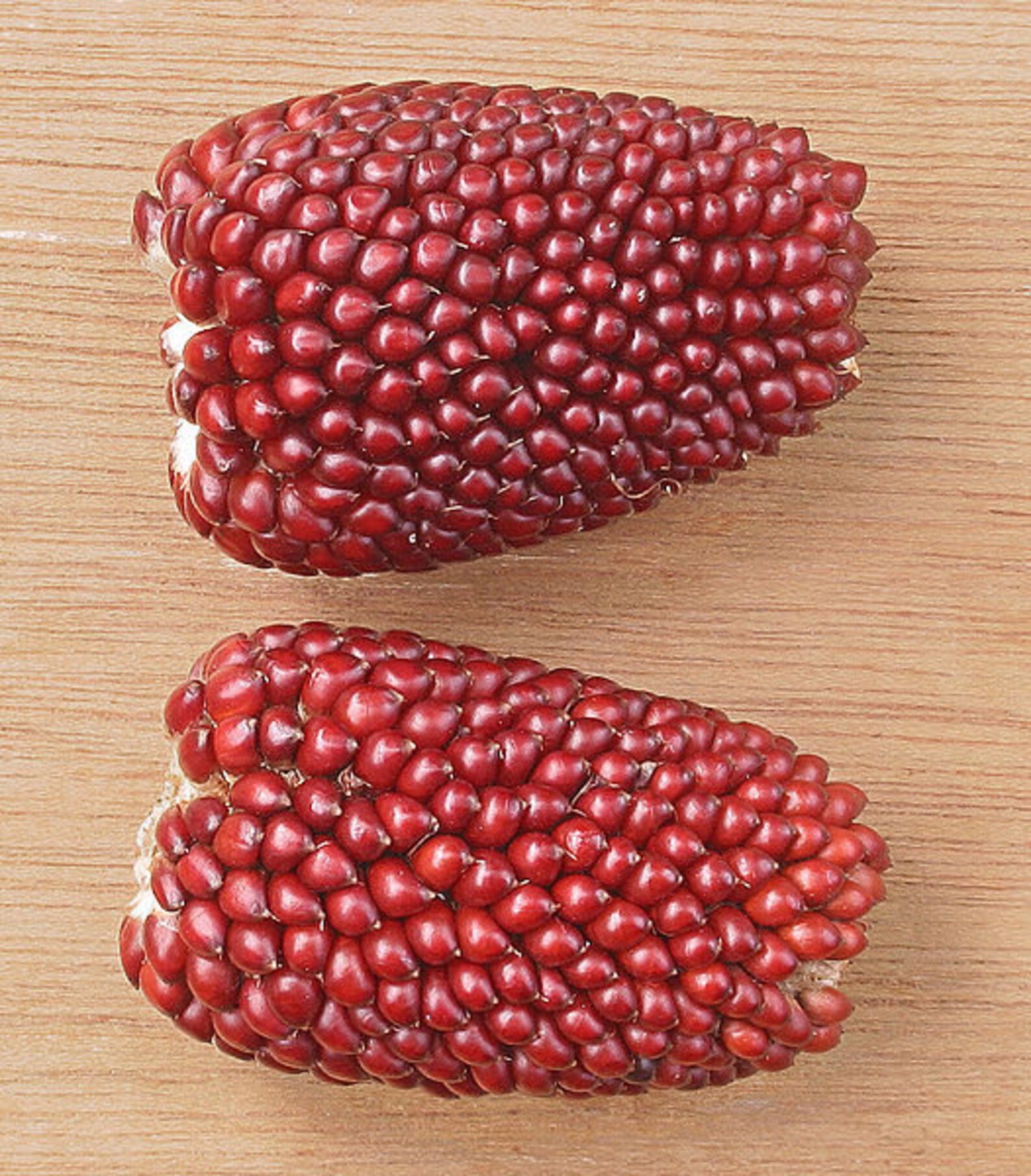 150 Red STRAWBERRY POPCORN CORN Zea Mays Vegetable Seeds - Etsy