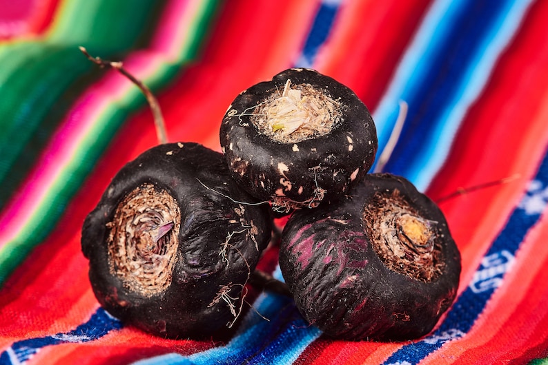 50 BLACK MACA Peruvian Ginseng Maka Lepidium Meyenii Syn. - Etsy