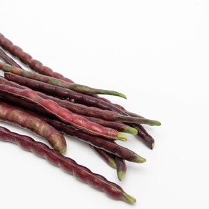 100 RED RIPPER COWPEA Cow Pea Southern Pea Vigna Unguiculata Legume ...