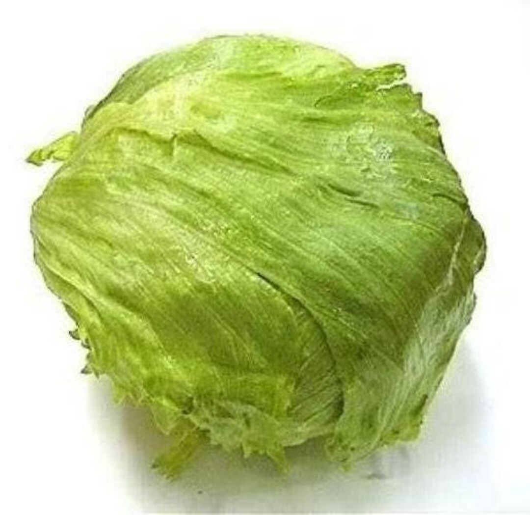 3000 ICEBERG HEAD LETTUCE Lactuca Sativa Vegetable Seeds - Etsy